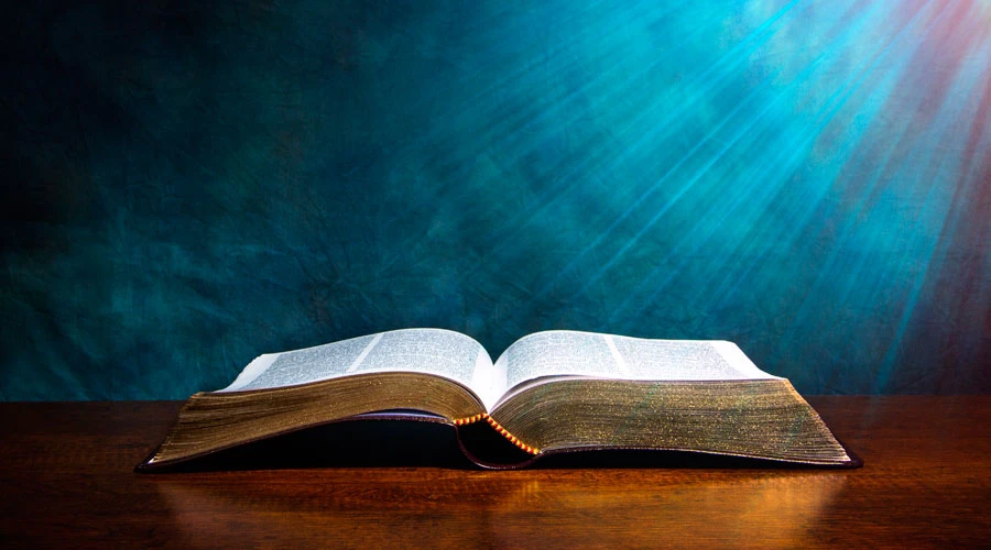 Domingo de la Palabra de Dios 2023: Celebraciones en América y España ...