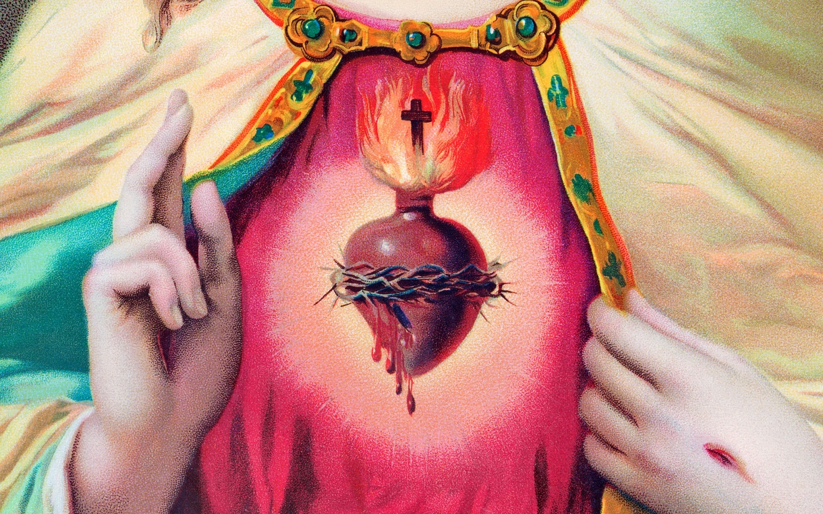 Abierta inscripción a próximo Congreso Internacional sobre el Corazón ...