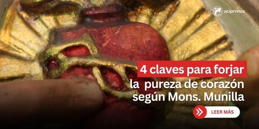 Obispo ofrece 4 claves para forjar la pureza de corazón | ACI Prensa