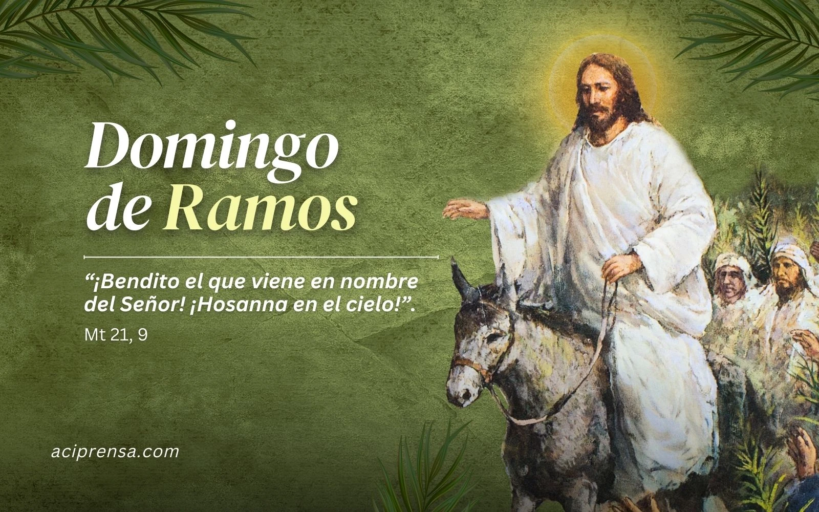 Domingo de Ramos o “De la Pasión del Señor” 2024 | ACI Prensa